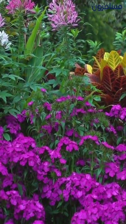 بولندا بولندا سياحة سياحةوسفر Youtube