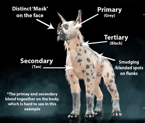 Kubrow Breeding Full Guide For Beginners And Experienced Breeders