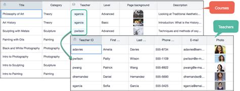 the wix code database and data modeling website design in oakville