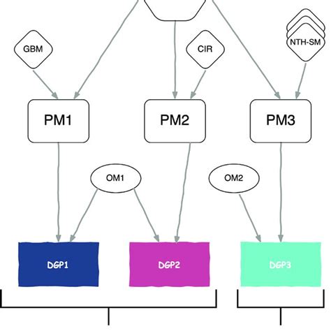 Schematic Diagram Of The Data Generating Processes Dgps Explored In