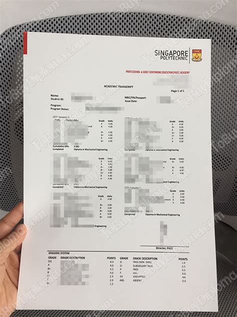 Fake Singapore Polytechnic Diploma We Supply Singapore Polytechnic Certificates
