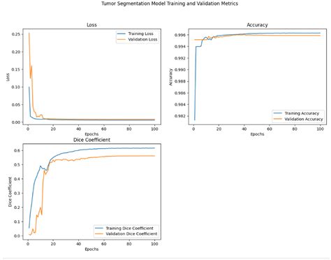 Python Tumor Segmentation Task Accuracy Curve On Validation Data