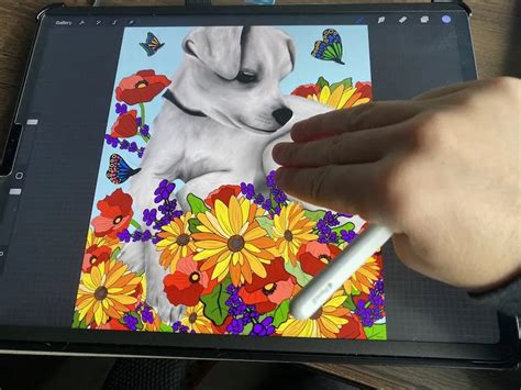 The Ultimate Guide To Procreate Gestures And Shortcuts Adventures With Art