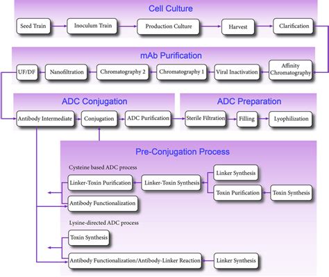 Flow Chart Of The Production Process Of ADCs The MAb Moiety Is Download Scientific Diagram