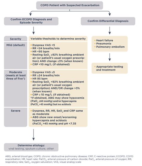 Understanding And Managing Copd Exacerbations Sanofi Campus
