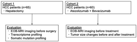 Flow Diagram Of The Objective HCC Patients Download Scientific Diagram