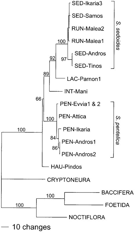 Organismal Phylogeny Inferred From The Combined Reduced Data Set One Download Scientific