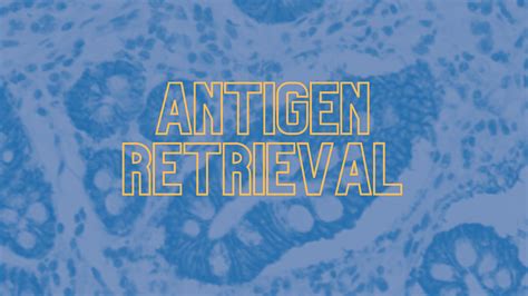 Unmasking The Hidden Optimizing Antigen Retrieval For Immunohistochem Huabio