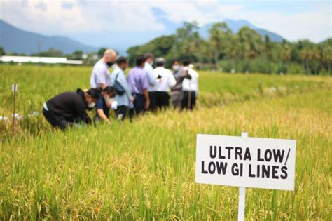 Cgiar On Linkedin Onecgiar Withsciencewecan