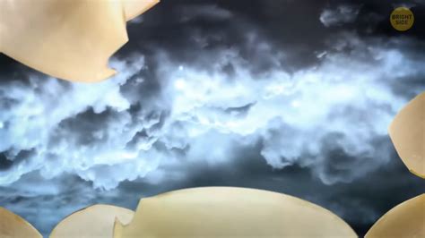 Old Fashioned Ways To Predict The Weather Bright Side