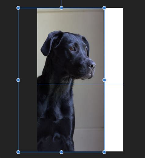 Move Tool Not Working Pre V2 Archive Of Desktop Questions MacOS And Windows Affinity Forum