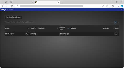 393 Accessing The Fluent Web Interface Through The Ansys App Portal