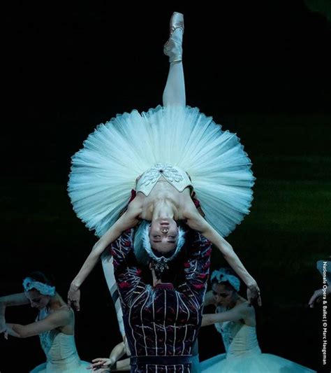 Riho Sakamoto 坂本 理保 Ballet The Best Photographs