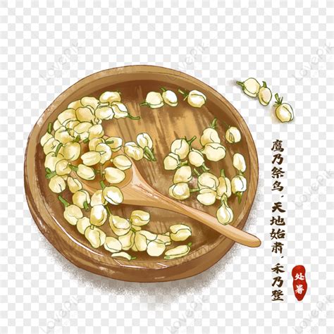 향기로운 차 Png 일러스트 무료 다운로드 Lovepik