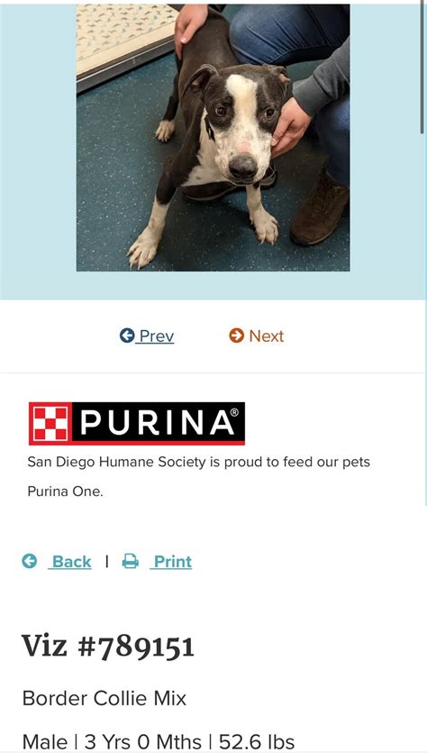 Purposeful Mislabeling Rbanpitbulls