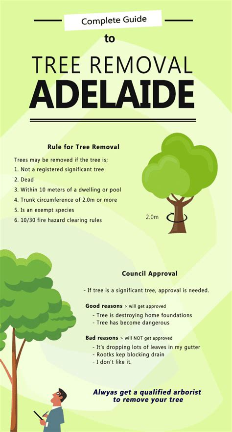 What S The Cheapest Tree Removal In Adelaide What S The Cheapest Tree Removal In Adelaide