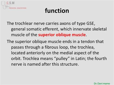 Trochlear Nerve Function