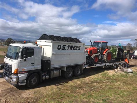 Photo Gallery Central West Nsw Os Trees
