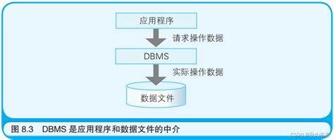 数据文件、dbms 和数据库应用程序数据库系统里面的应用程序指的是什么 Csdn博客