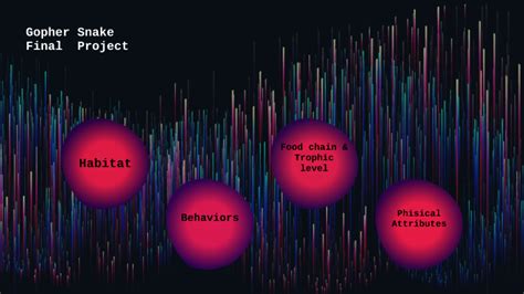 Science Final Sofia Lujan By Sofia Lujan On Prezi