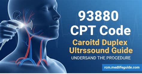 93880 Cpt Code Carotid Duplex Ultrasound Guide