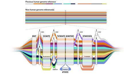 Behind The Scenes Of A Major Genomic Discovery Mount Sinai New York