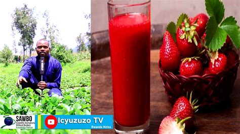 Musanze Uramutse Uhinze Inkeri Kuri Hectare1 Wasarura Miriyoni 200