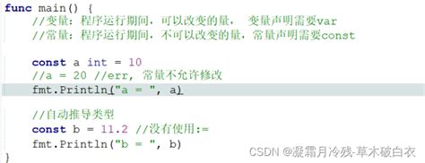 1、初识go语言 goc编程 制表符tab csdn博客