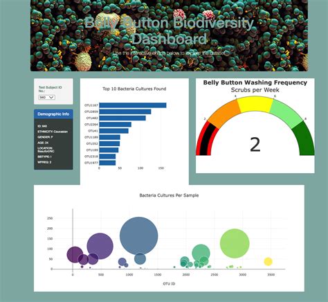 GitHub Karinacaceres28 Belly Button Biodiversity