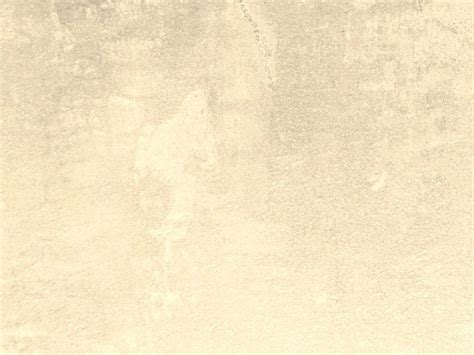 Cream Color Wallpapers Wallpaper Cave