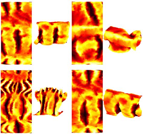 Frames From Distortion Correcting Cine With Original Surface Download Scientific Diagram