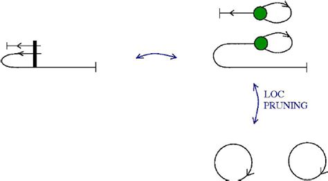 The K Combinator Connected To A Termination Node Transforms Into Two