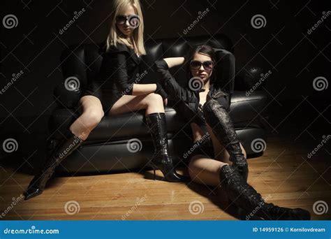 Portrait Of Two Beautiful Sexual Female Models Stock Photo Image Of Look Female 14959126