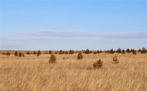 Онон Балжийн Онон Балжийн байгалийн цогцолборт газар