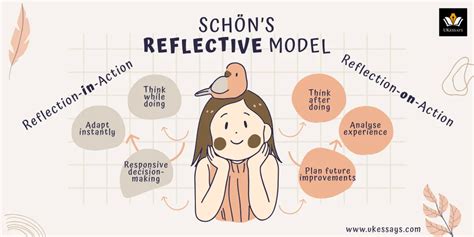 Schöns Reflective Model Reflection In Action And Reflection On Action Guide
