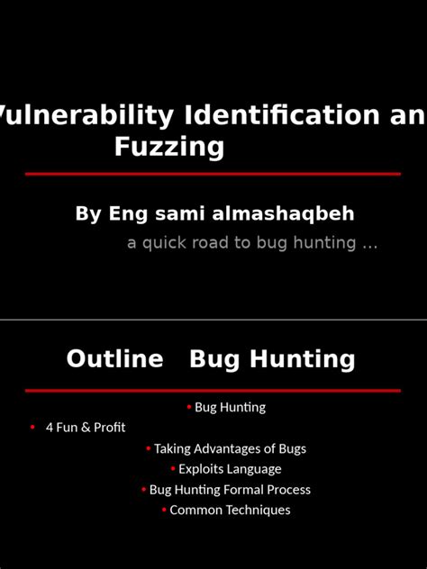 91 Vulnerability Identification And Fuzzing Pdf Debugging