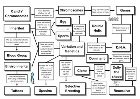 Gene Expression Revision Mind Map Aqa Asa Level Biology