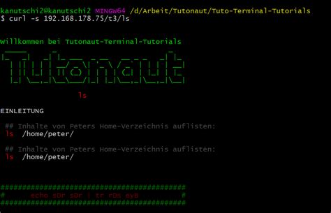 Anleitung Terminal Ausgabe Mit Farben Und Ascii Art Aufhübschen Tutonaut