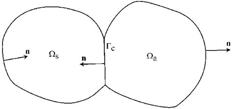 Sketch Of The Fluid Structure Interaction Problem Download