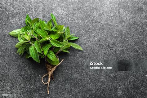 갓 수확한 정원 허브 녹색 신선한 민트 어두운 배경에 민트의 유기 잎 박하에 대한 스톡 사진 및 기타 이미지 박하 검은색