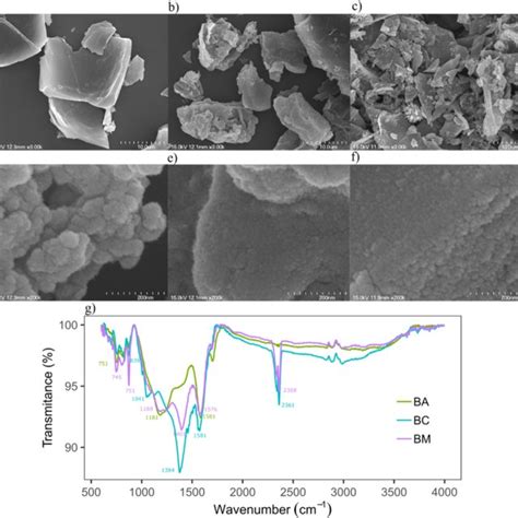 SEM images of a BA b BM and c BC at the 10 μm scale SEM images of d Download Scientific