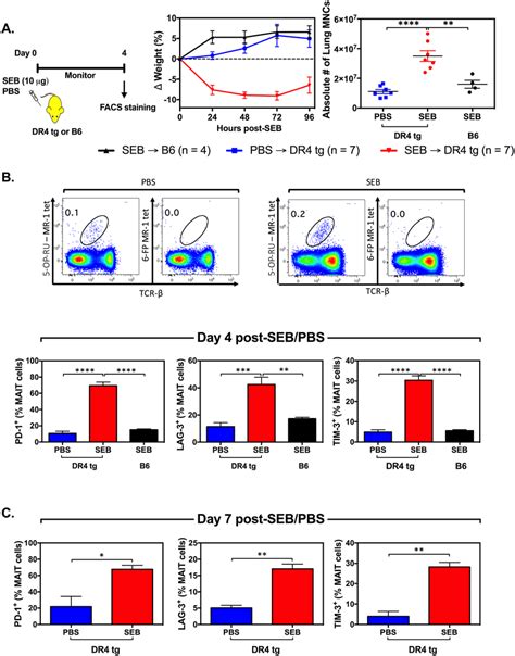 In Vivo Exposure To Staphylococcal Enterotoxin B Seb Causes Weight Download Scientific