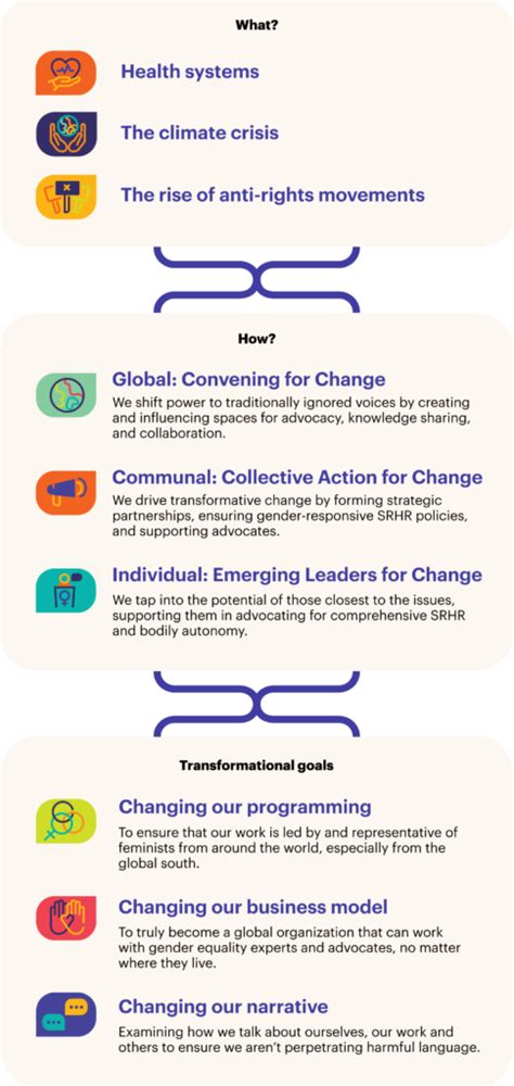 Our Strategic Framework Women Deliver