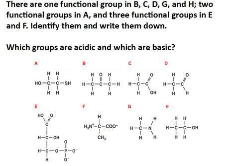 Solved There Are One Functional Group In B C D G And H Chegg Com