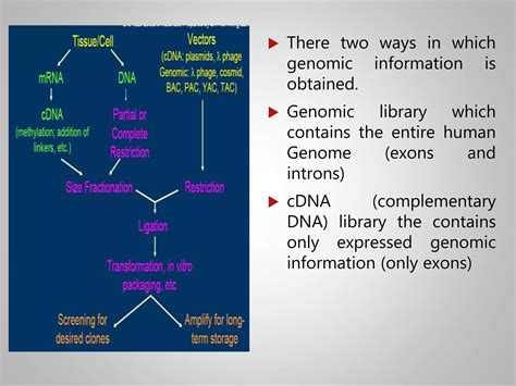 Genomic And C Dna Libraries Pptx