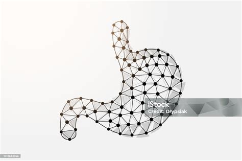 연결된 점이있는 위 3d 낮은 폴리 기호 소화 시스템 인간 이식 디자인 벡터 일러스트레이션 장기 해부학 다각형 와이어프레임 점박이에 대한 스톡 벡터 아트 및 기타 이미지