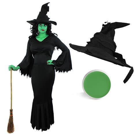 Wicked Witch Halloween Costume Dress Hat And Face Paint I Love Fancy