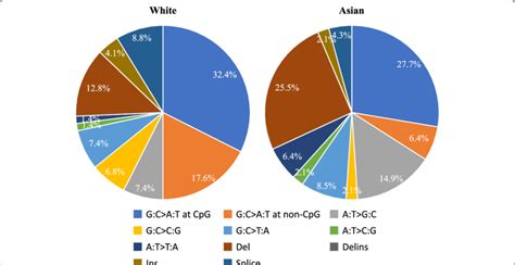 Tp53 Mutation Spectra In Caucasian And Asian Populations In Tcga The