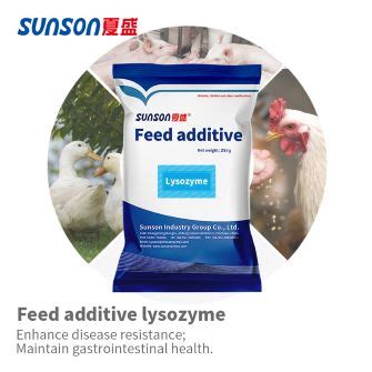 Feed Additive Lysozyme For Gut Health And Disease Prevention