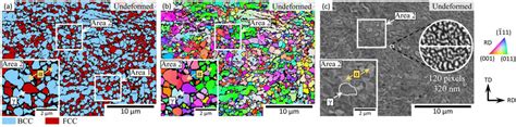 Microstructure Of Ferrite And Austenite Phases In Roi Of Undeformed